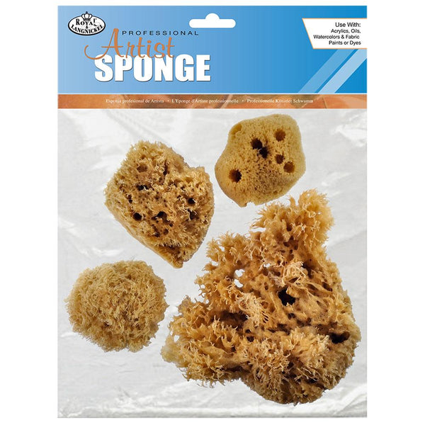 SPONGE COMBINATION SET